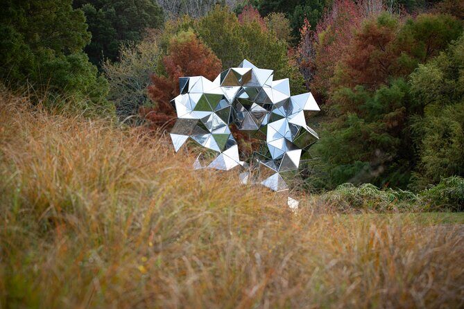 Matakana Art & Vineyard Experience incl. Lunch & Wine Tasting Tour From Auckland - Who Will Love This Tour?