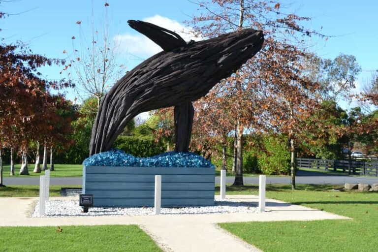 Matakana Art & Wine Village Private Tour - Practical Details and What to Expect