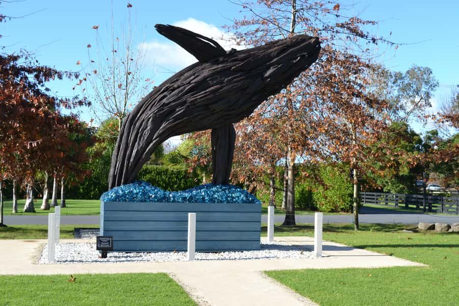 Matakana Art & Wine Village Private Tour - Practical Details and What to Expect