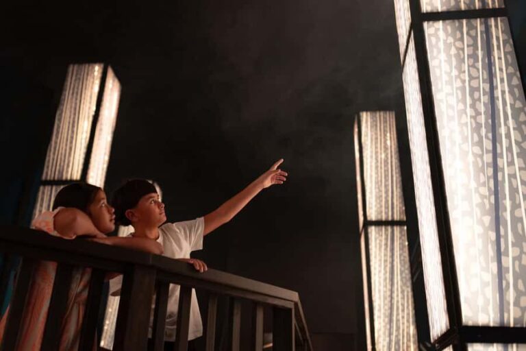 Matakohe: The Kauri Museum Entry Ticket - The Value and Who Will Love It