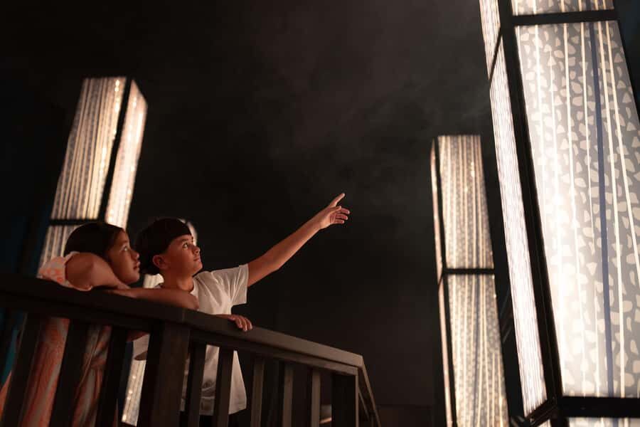 Matakohe: The Kauri Museum Entry Ticket - The Value and Who Will Love It