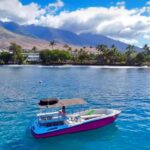 Maui and Lanai: Snorkel and Dolphin Adventure Tour - Final Thoughts