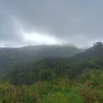 Maui: East Side Hiking Tour - Practical Details and Tips for Participants
