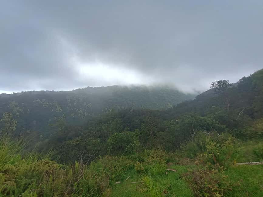 Maui: East Side Hiking Tour - Practical Details and Tips for Participants