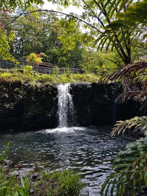 Maui: Halfway to Hana Black Sand Beach & Turtles Tour - Why This Tour Is a Great Choice