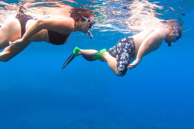 Maui-Lanai EcoRaft Tour: Snorkel or Dolphin Watch (Semi-Private) - The Sum Up