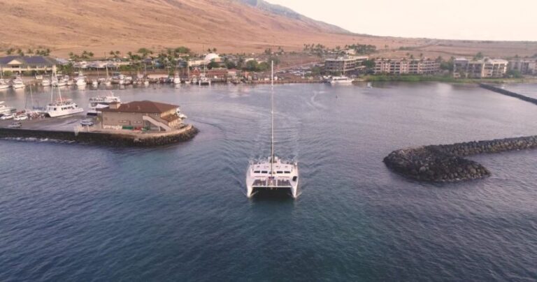 Maui: Luxury Catamaran Whale Watch & Sail - Why This Tour Offers Great Value