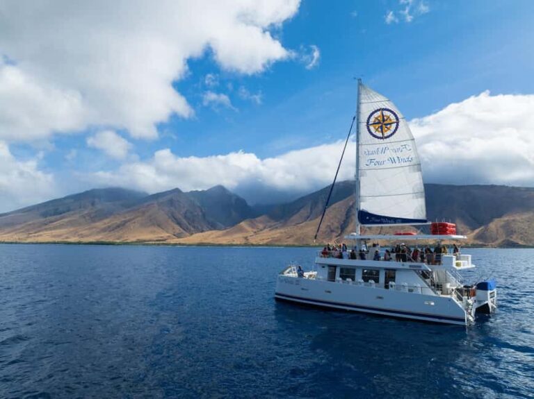 Maui: Snorkel Tour to Coral Gardens - Why This Tour Offers Great Value