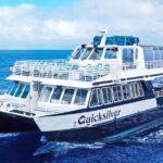 Maui Snorkeling Boat Tour to Turtle Town Aboard Quicksilver - The Experience: Pros and Cons