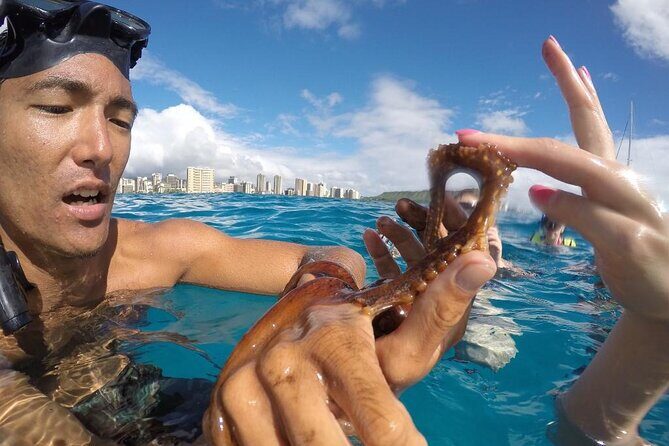 Mauna Kea 3hr Two Stop Sealife Snorkel Adventure - A Practical Look at the Snorkel Adventure