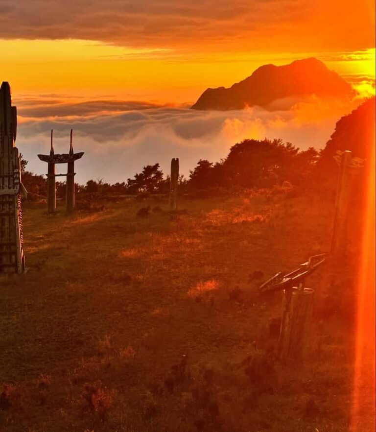 Maunga Hikurangi Sunrise Tour - Te Urunga-Tu Sunrise Tour - An In-Depth Look at the Maunga Hikurangi Sunrise Tour