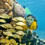 Mayan Adventure Snorkeling Tour from Playa del Carmen or Riviera Maya - The Experience: What Travelers Say