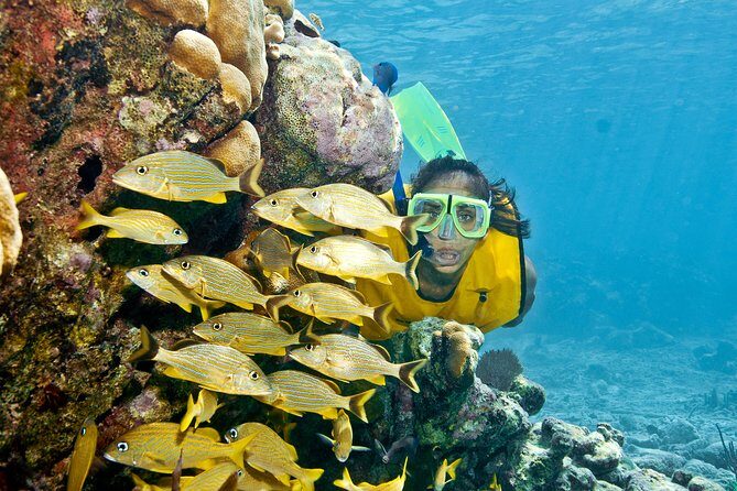 Mayan Adventure Snorkeling Tour from Playa del Carmen or Riviera Maya - The Experience: What Travelers Say
