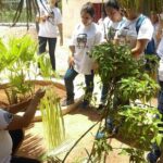 Mayan Roots Camino Real "Pomuch, Hecelchakán and Calkiní Becal" - Exploring the Itinerary in Detail