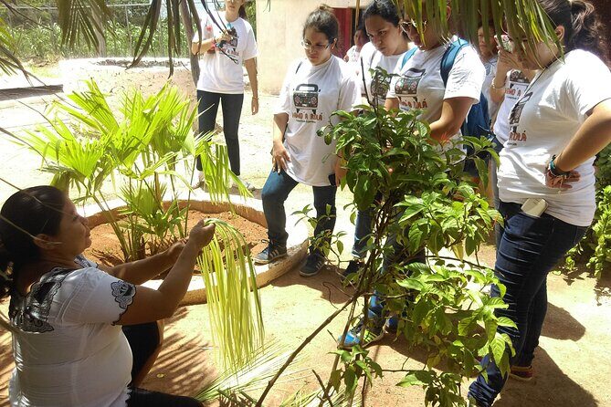 Mayan Roots Camino Real "Pomuch, Hecelchakán and Calkiní Becal" - Exploring the Itinerary in Detail