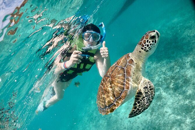 Mayan snorkeling (Akumal-Cenote-Caverna) - Akumal: Swimming with Sea Turtles