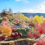 Mayfield Gardens Autumn Tour from Sydney with Echo Point Stop - What Reviewers Say