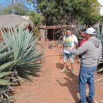 Mazatlan: Mezcal Factory Tour with Tasting and Lunch - The Experience Itself: Pros and Cons
