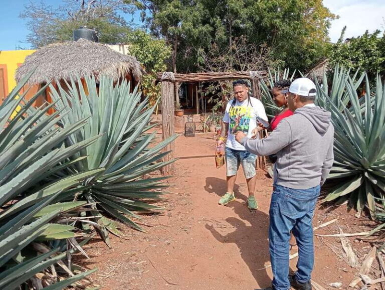 Mazatlan: Mezcal Factory Tour with Tasting and Lunch - The Experience Itself: Pros and Cons