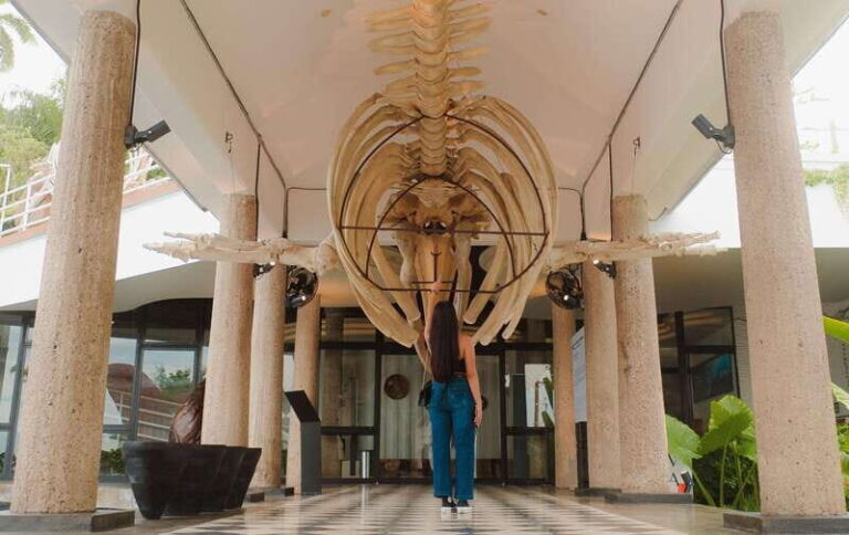 Mazatlán: MUNBA Interactive Ocean Museum Entry Ticket - Why the MUNBA Museum Offers Great Value