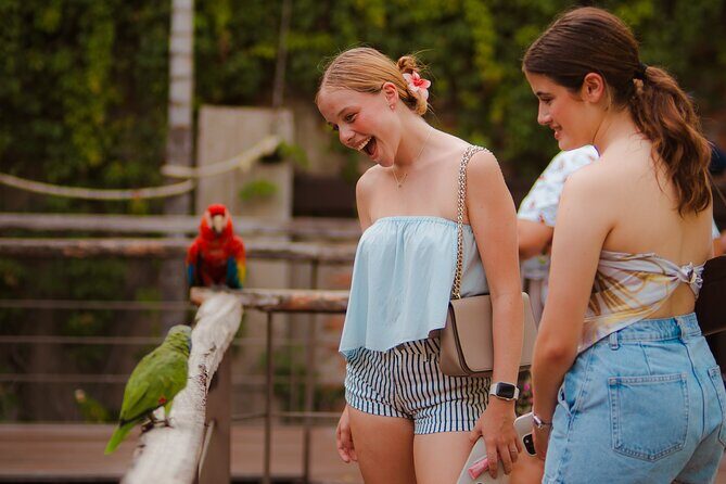 Mazatlan Observatorio 1873 Ticket and Pass - Practical Details: What You Need to Know