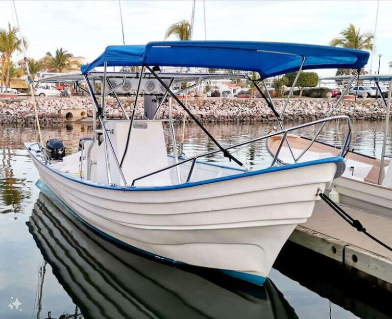 Mazatlan: Sea lions and snorkeling - Whats Included and Whats Not