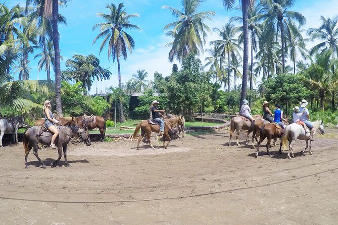 Mazatlan Sightseeing with Lunch and 2 Activities For up to 8 Passengers - Practical Details: Transport, Timing, and Group Experience