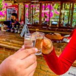 Mazatlán: Tequila Factory & Country Sightseeing - Detailed Review of the Mazatlán: Tequila Factory & Country Sightseeing Tour