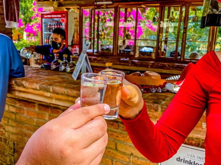 Mazatlán: Tequila Factory & Country Sightseeing - Detailed Review of the Mazatlán: Tequila Factory & Country Sightseeing Tour
