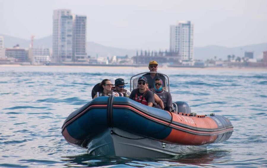 Mazatlán: Whale-Watching Boat Tour with Marine Experts - What to Expect During the Tour