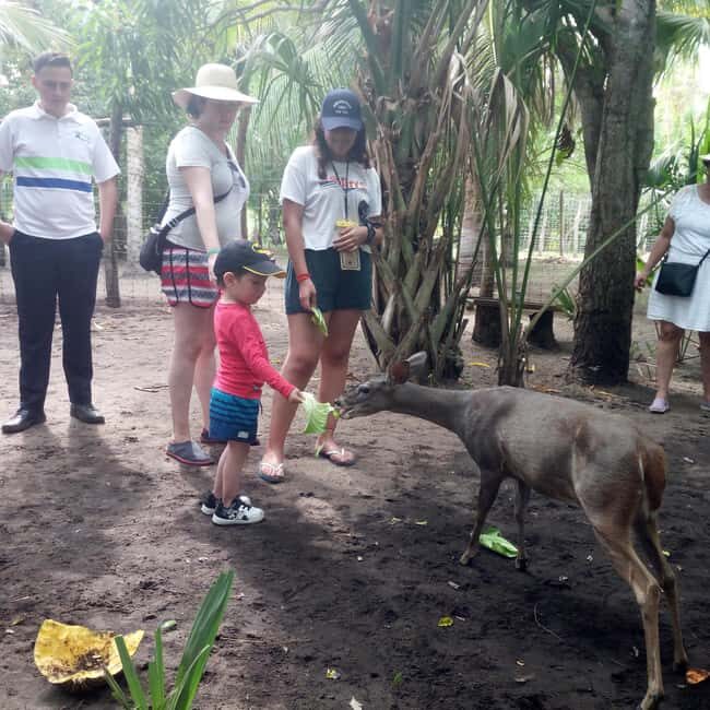 Mazunte-Ventanilla and Zipolite Ecotour - Who Will Love This Tour?