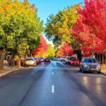 McLaren Vale and Hahndorf Tour (Lunch & Tastings included) - Who Is This Tour Best For?