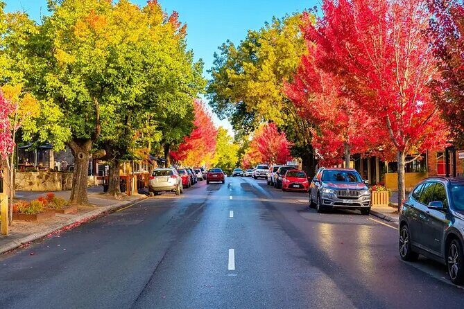 McLaren Vale and Hahndorf Tour (Lunch & Tastings included) - Who Is This Tour Best For?