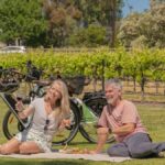McLaren Vale: E-Bike Rental to Explore the Vineyards - The Practical Details