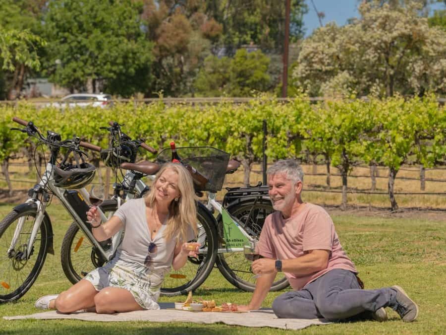 McLaren Vale: E-Bike Rental to Explore the Vineyards - The Practical Details