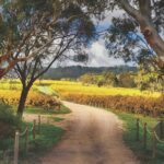 McLaren Vale Winery Small Group Tour with Wine Tasting and Lunch - Final Thoughts