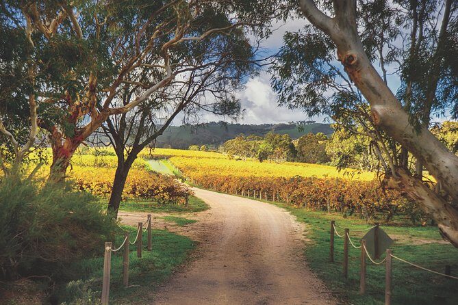 McLaren Vale Winery Small Group Tour with Wine Tasting and Lunch - Final Thoughts