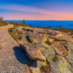 MDI Private Discovery Tour - Explore Beyond Acadia (five hours) - Who Should Consider This Tour?