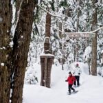 Medicine Trail Snowshoe Tour - The Practicalities