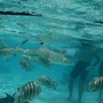 Medium Magical Combo in Moorea of 2 hours of Jetski and 3h30 of Quad - Frequently Asked Questions