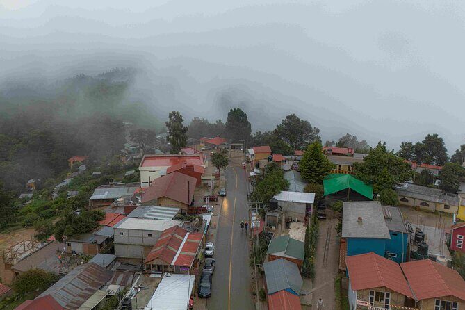 Meet San Jose del Pacífico in one day - Adventure and Exploration: Suspension Bridge and Enchanted Forest