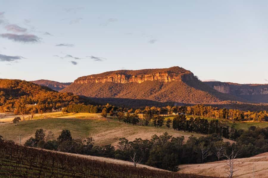 Megalong Valley: Wine Tasting and Stargazing Experience - Stargazing in the Megalong Valley