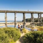 Melbourne: Bunurong Coast & Penguin Parade Day Trip - Detailed Breakdown of the Itinerary