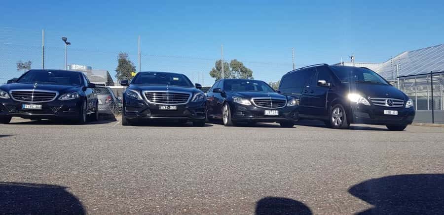 Melbourne CBD Sightseeing Private Tour  Up to 14 travellers - Practical Insights and What Travelers Can Expect