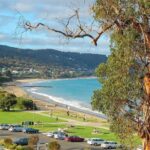 Melbourne: Great Ocean Road & Iconic Coastal Views Day Tour - Who Would Love This Tour?