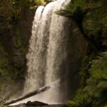 Melbourne: Great Ocean Road Limo Tour with Hotel Pickup - The Scenic Highlights – Stops and Sightseeing