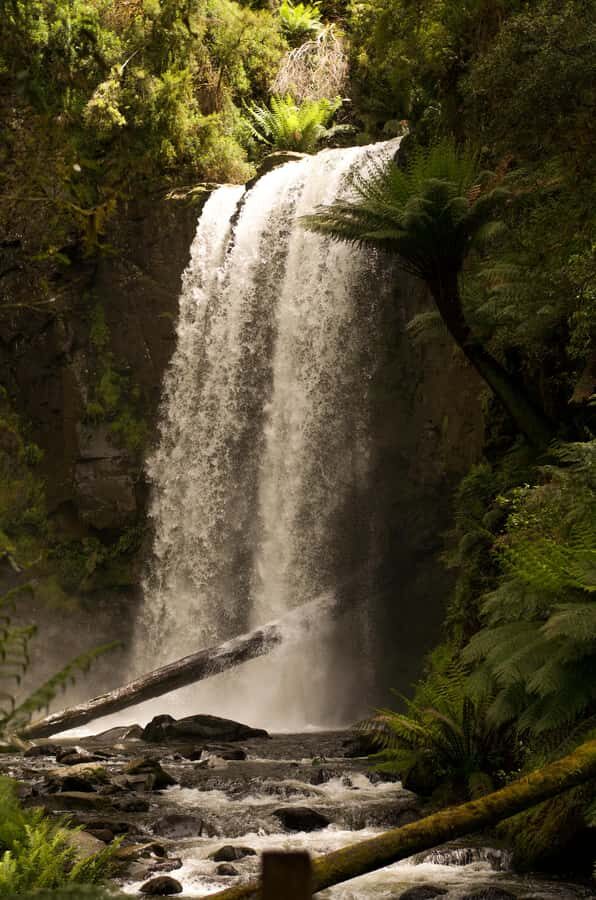 Melbourne: Great Ocean Road Limo Tour with Hotel Pickup - The Scenic Highlights – Stops and Sightseeing