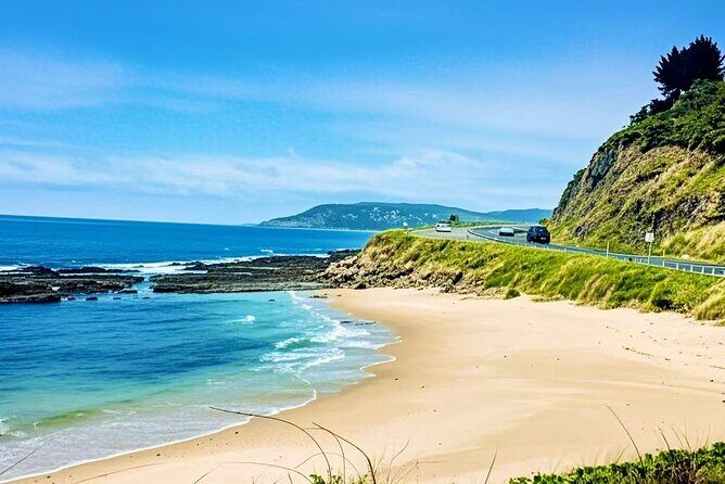 Melbourne Great Ocean Road Reverse Tour + London Bridge wildlife - Guides and Commentary