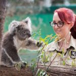 Melbourne Highlights and Aussie Wildlife Express Tour - Transport, Timing, and Practicalities