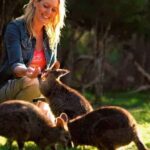 Melbourne Highlights & Aussie Wildlife Express Tour - Visiting the Royal Botanic Gardens and Parliament House